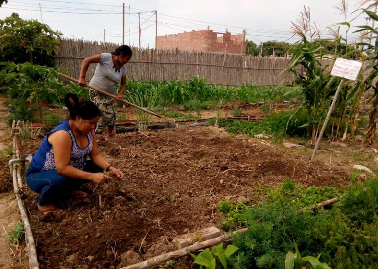 Mujeres con voz: biohuerto comunitario para el empoderamiento de ...