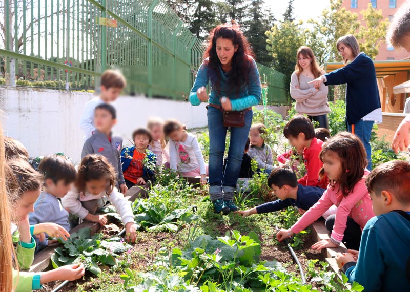 Red De Huertos Escolares De Madrid Germinando Espacio Agroecológico